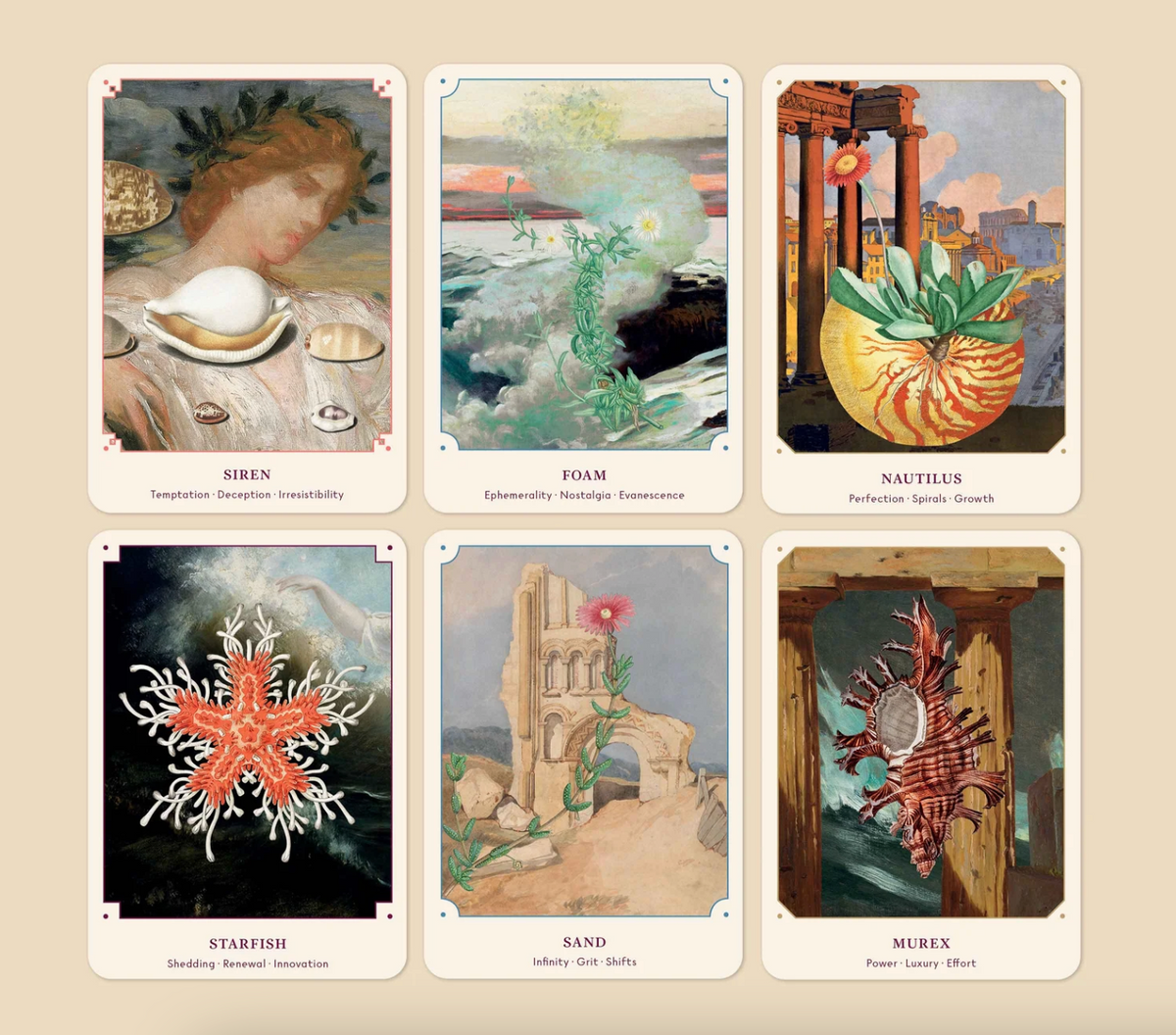 The Seashell Oracle: 44 Card Deck & Guidebook – CANDID HOME